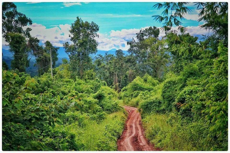 How To Travel Cardamom Mountains | Cambodia Packages Tour