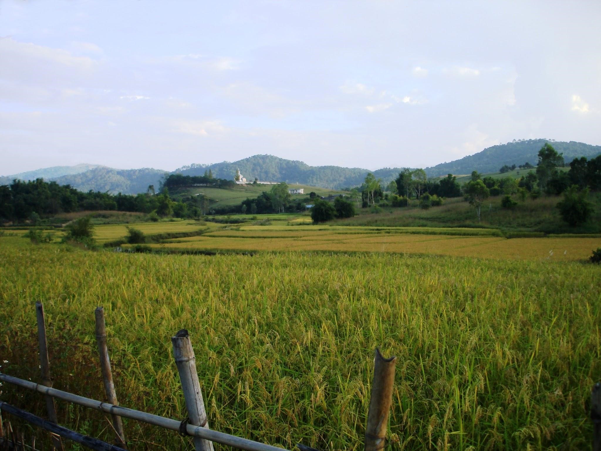 Discover The Mystery Of Xieng Khouang | Laos Holiday Packages